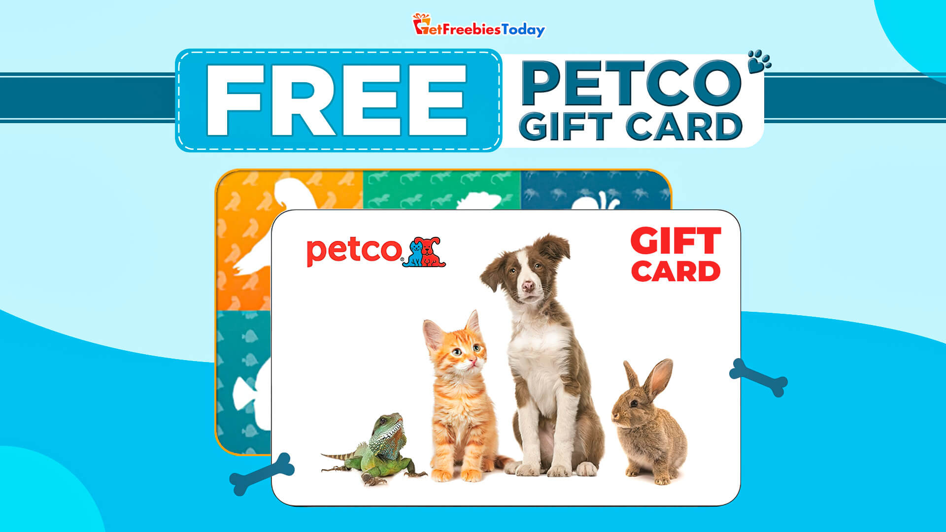 Free PetCo Gift Card GetFreebiesToday Free PetCo Gift Card GetFreebiesToday